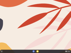Install Chrome OS on VMWare with FydeOS (Play Store Support)
